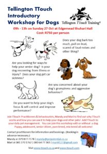 Tellington TTouch Workshop for Dogs – Tellington TTouch Southern Africa